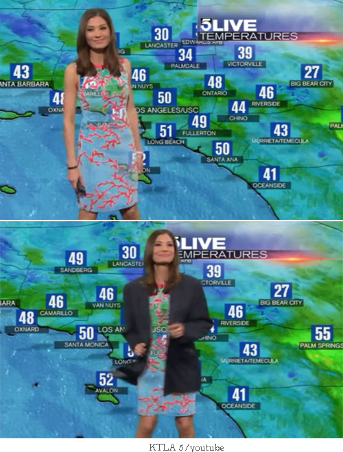 US Weathercaster's Dress Vanishes Against Green Screen During Live ...