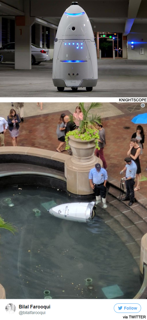 Advanced Security Robot 'Drowns' in Fountain - DongA Science