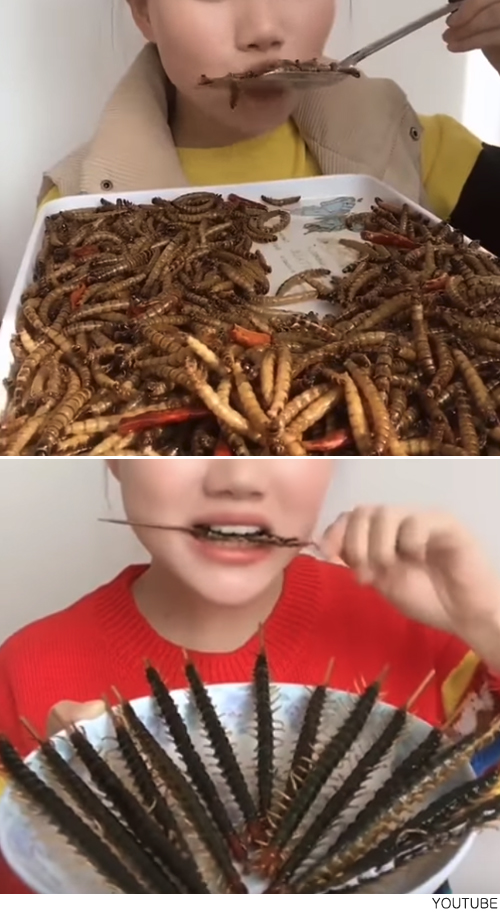 Chinese Woman Goes Viral for Eating Bugs with Gusto - DongA Science