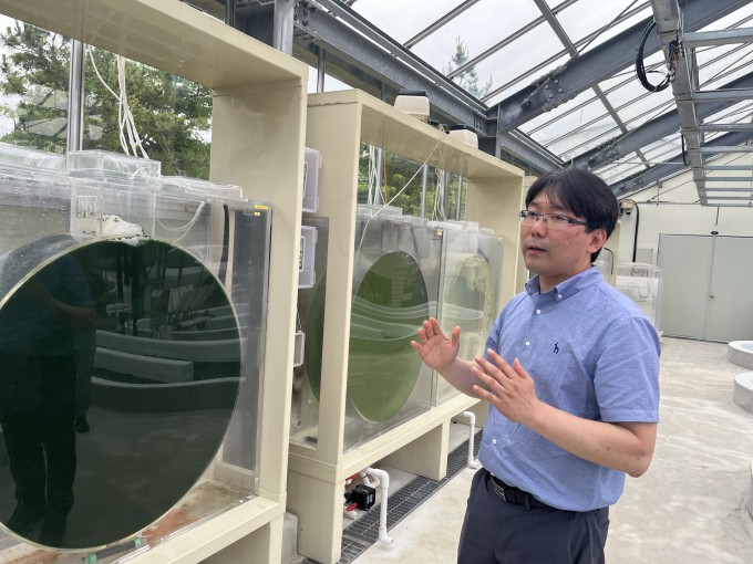 Marine Microalgae's Memory-Enhancing Benefits Certified for First Time ...