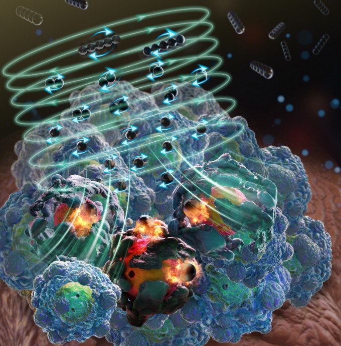 [DGIST NOW] Professor Choi Hongsoo's Team Uncovers Mechanism to ...