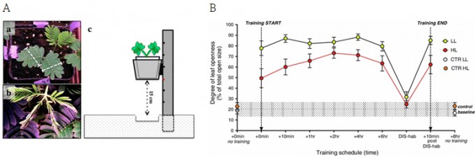 [Brain Science in Daily Life] Can Even Humble Creatures Learn and ...