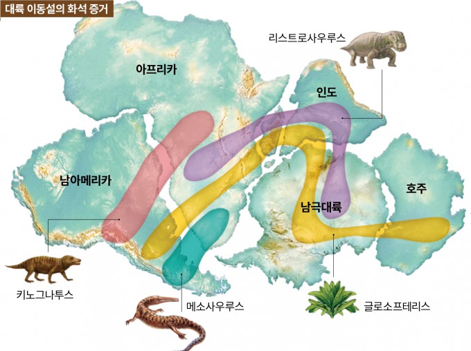The Journey of Supercontinents, Etched in Diamonds - DongA Science