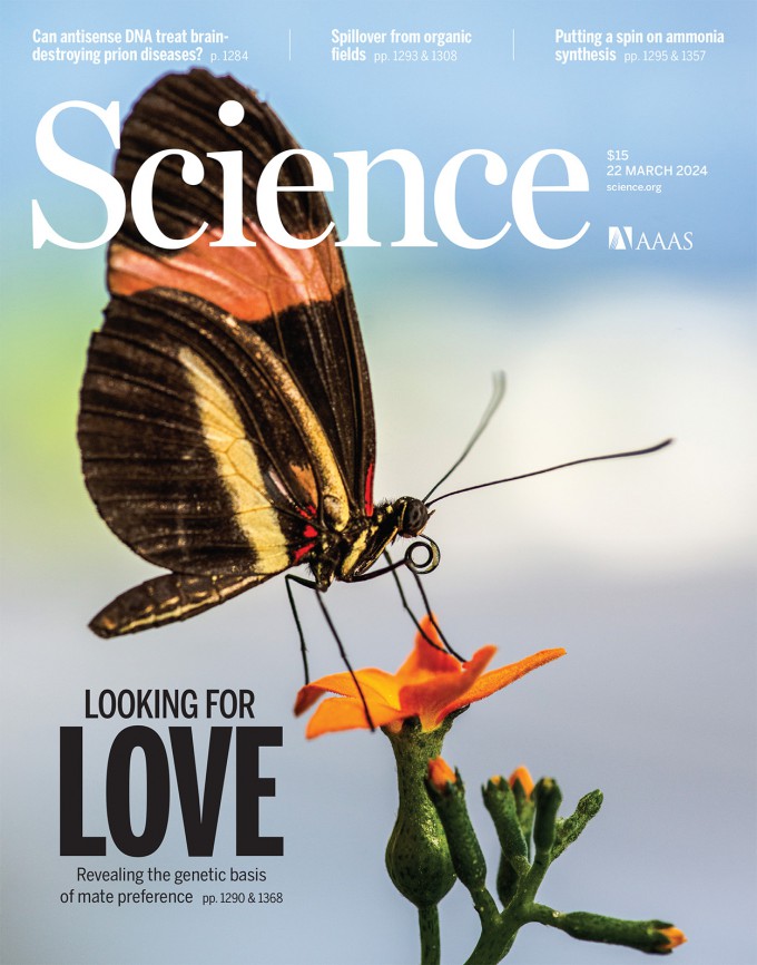 [Science on the Cover] Butterflies Also Judge Mates by Their 'Looks ...