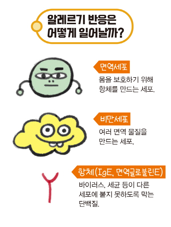 Spring's Unwelcome Guest: Everything You Need to Know About Allergies ...