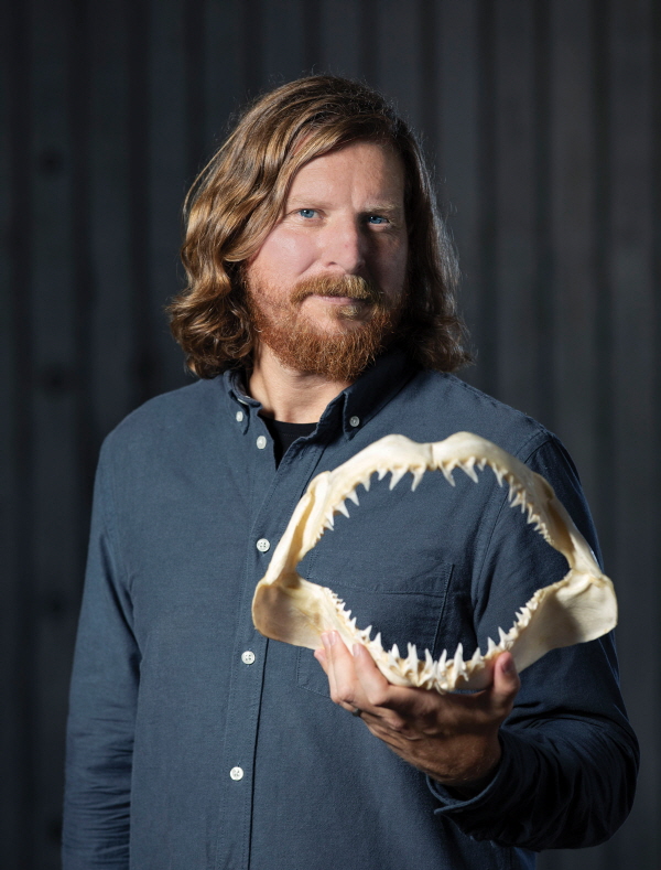 Sharks' Infinitely Regenerating Teeth: Could We Have Them Too? - DongA ...