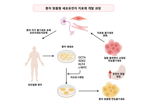 More Precise Stem Cell Gene-Editing Technology Developed, Paving the ...