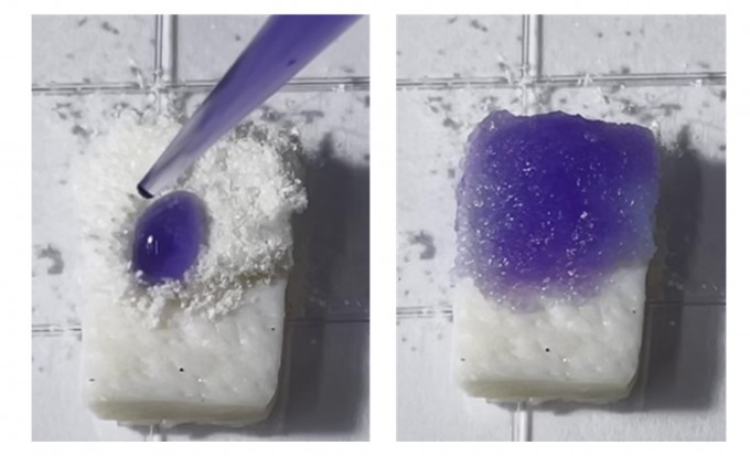 New Powdered Hydrogel Stops Bleeding and Regenerates Damaged Muscle ...