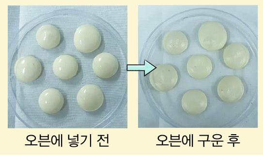Making Eggs Without Chickens? The Magic of Microbial Factories - DongA ...
