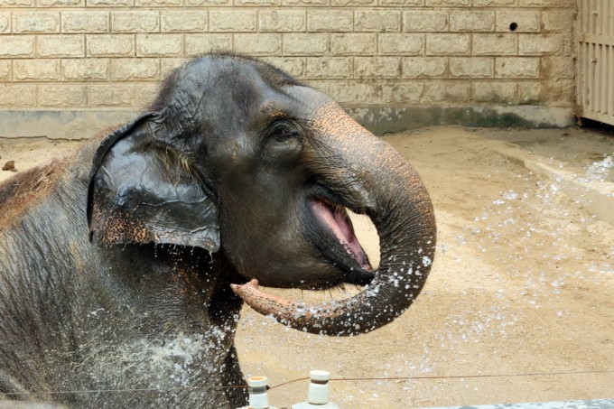 [Kang Suk-ki's Science Cafe] The Science Behind Losing Your Appetite in ...