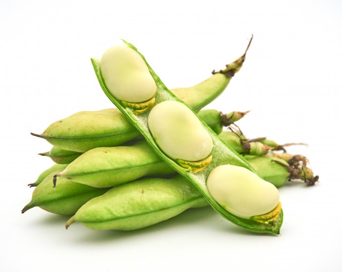 'Superfood' Faba Bean: Korea Develops First Variety for Domestic ...