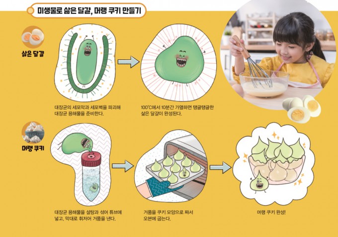 Making Eggs Without Chickens? The Magic of Microbial Factories - DongA ...