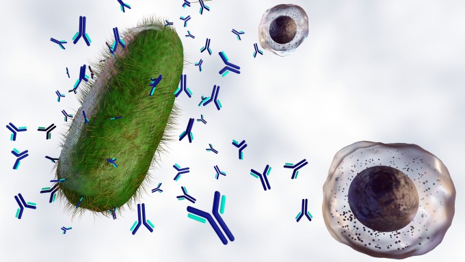 Mechanism of 'Exocyst,' Crucial for Life, Revealed at Single-Molecule ...