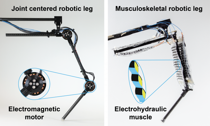 Motor-Free Robotic Leg Developed to Run on Any Terrain - DongA Science