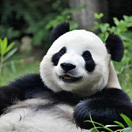 Panda Image Stored in DNA, Read Quickly and Accurately - DongA Science