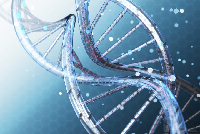 Panda Image Stored in DNA, Read Quickly and Accurately - DongA Science