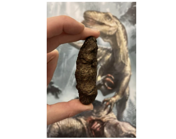 Fossilized Vomit and Feces Reveal How Dinosaurs Became Apex Predators ...