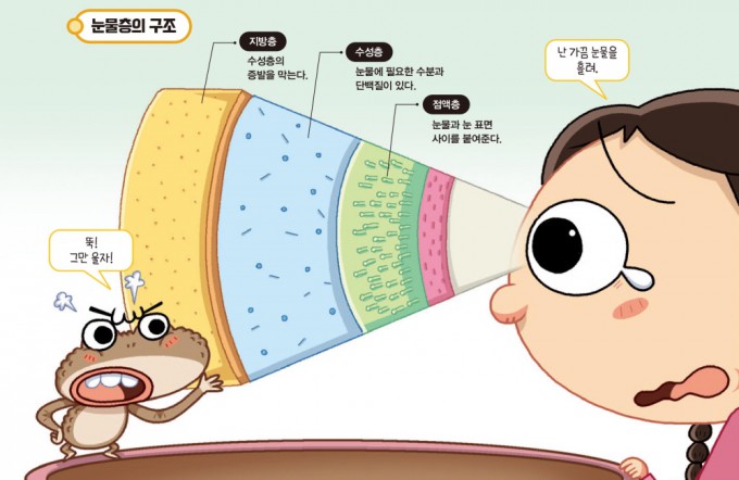 How Are Tears Made? - DongA Science