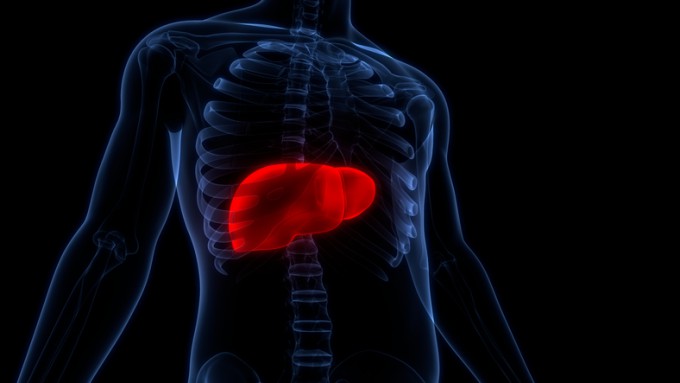AI advice linked to lower survival rates in advanced liver cancer ...