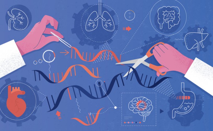 Compact Gene Scissors Reduce Cancer Cell Proliferation by Up to 82% ...