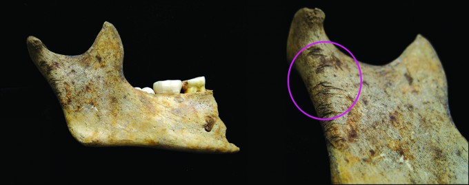 Traces of Cannibalism Carved into 4,000-Year-Old Skulls... 'A Deep ...