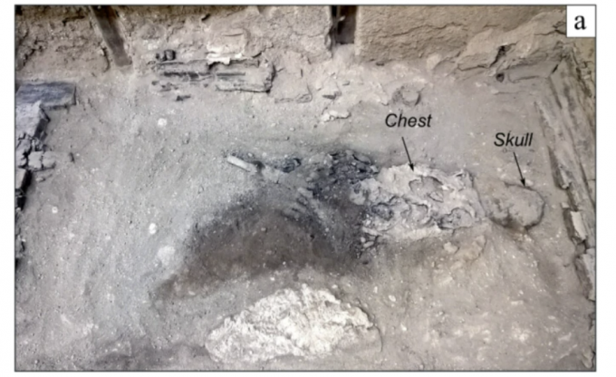 Brain of Vesuvius Victim Vitrified into Black Glass by Eruption - DongA ...