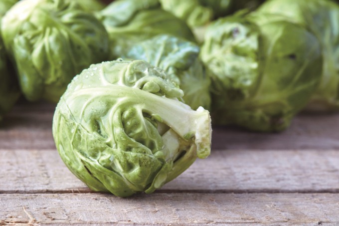[Science Explained] Cabbage vs. Lettuce: Similar Names, Different ...