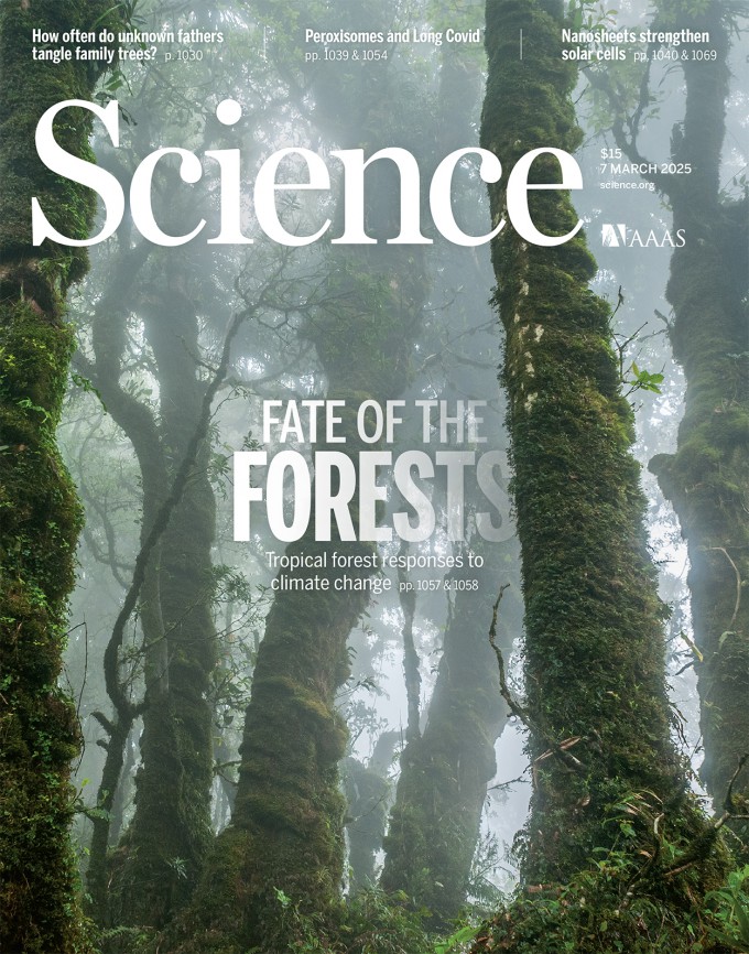 [Science on the Cover] Latin American Tropical Forests Can't Keep Up ...
