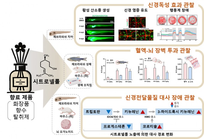 Natural Fragrance 'Citronellol,' Key to Floral Scents in Cosmetics ...