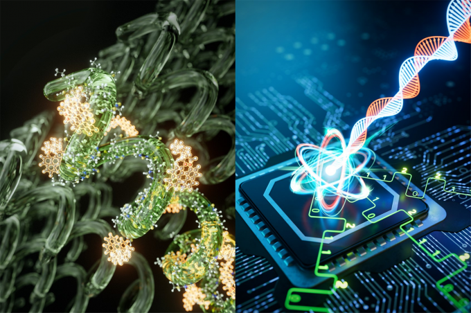 SNU's Oh Joon Hak Named April's Top Scientist for Next-Gen Optical ...