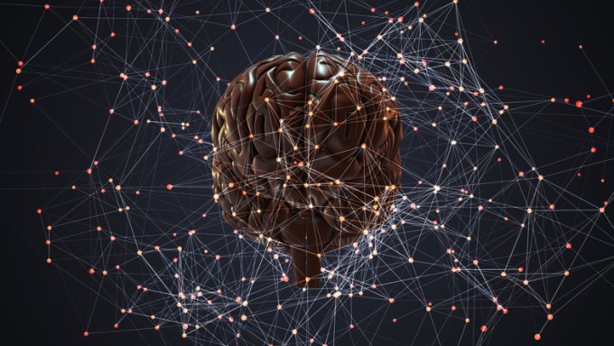 New Hope for Damaged Brains as Scientists Uncover Neuron Repair ...
