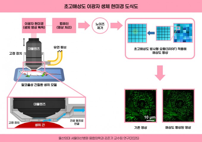 Super-Resolution Imaging Captures Real-Time Movement of Mitochondria ...