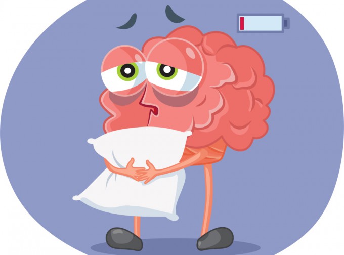 Lack of Sleep Accelerates Brain Aging - DongA Science