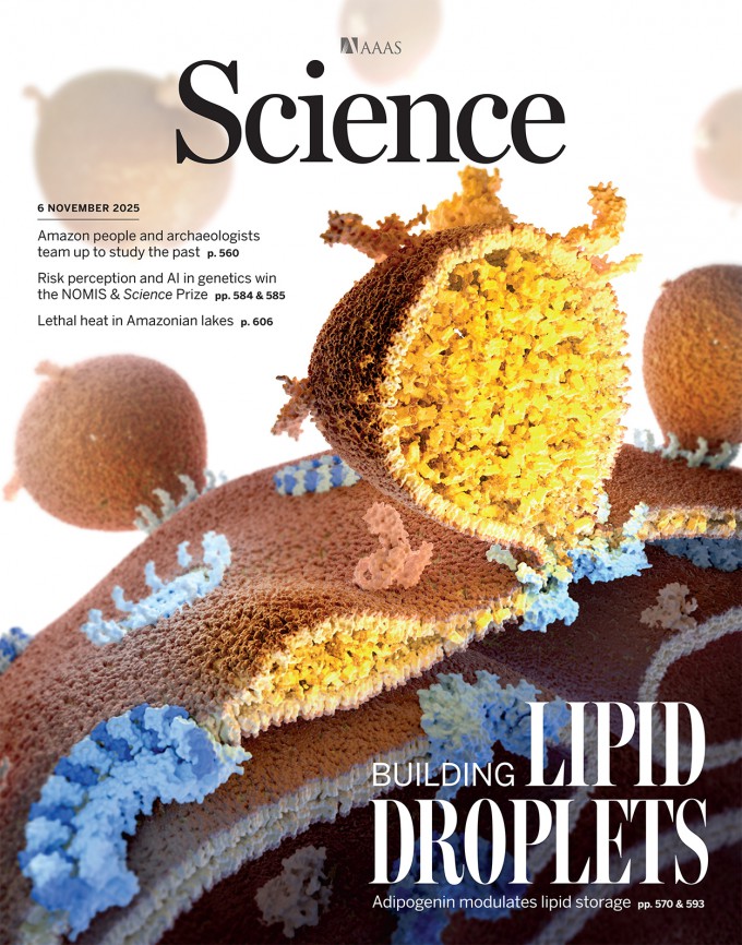 Science on the Cover: Microprotein That Regulates Obesity-Linked 'Lipid ...