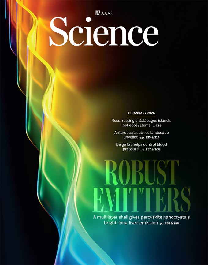 [Science from the Cover] Hierarchical shells boost stability in ...
