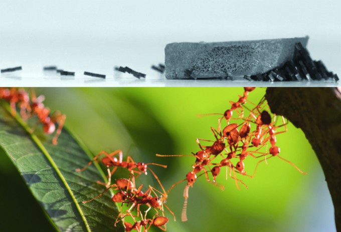 Swarms of tiny robots are tackling big challenges together - DongA Science