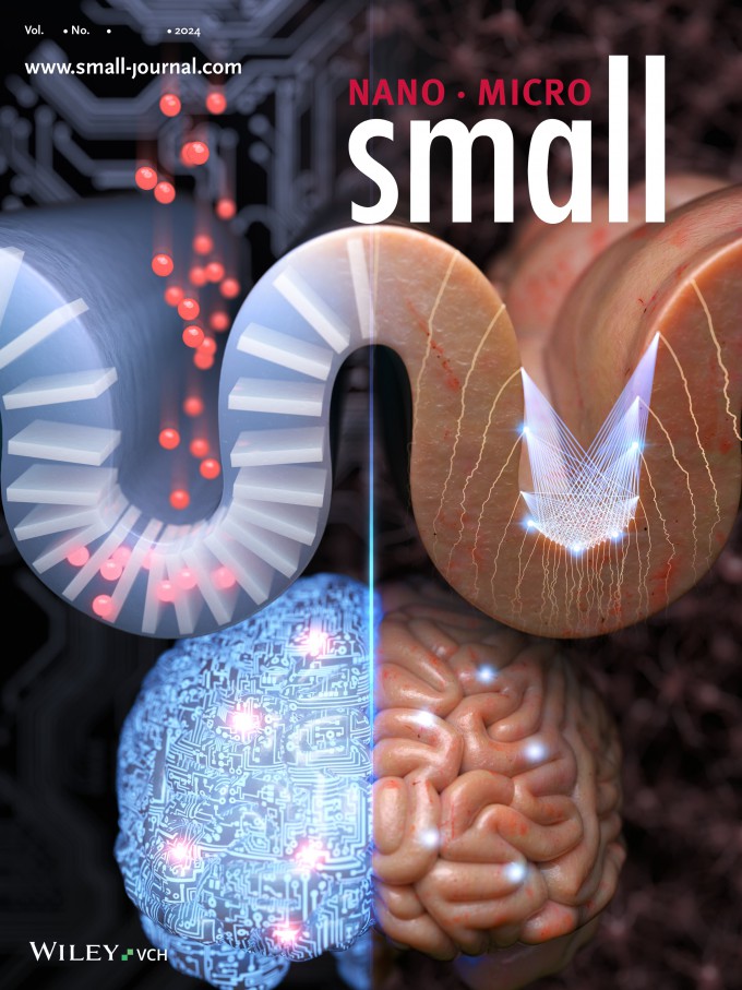 Mimicking brain wrinkles boosts artificial synapse memory fourfold ...