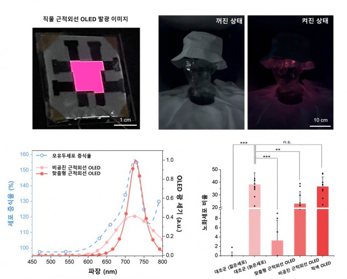 OLED-based wearable cap suppresses hair follicle aging by 92 percent ...