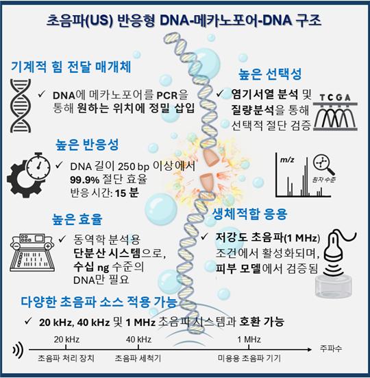 DNA로 초음파 전달해 원하는 분자만 결합·절단 - 동아사이언스
