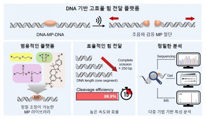 DNA acts as a conduit for ultrasound to precisely cleave molecules ...