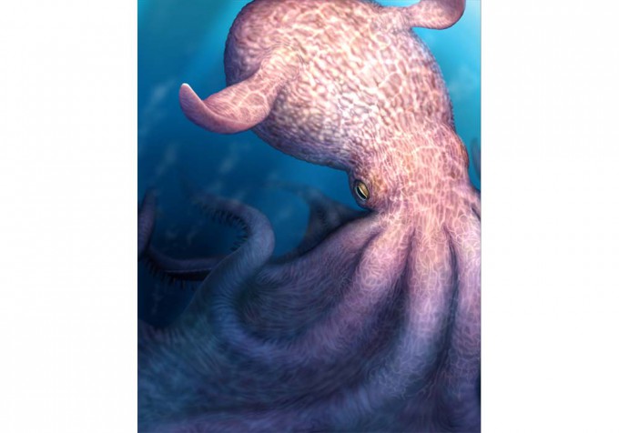 Giant octopus fossils reveal 19-meter creatures roamed Cretaceous seas ...