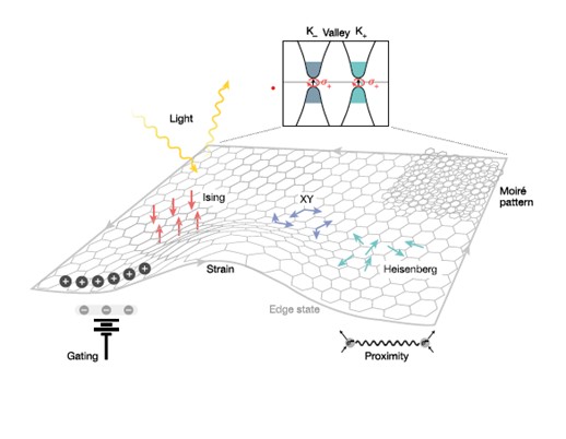Pioneering Korean research on 2D magnets becomes a global physics ...