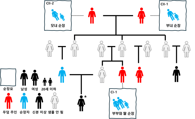 Ancient genomes from Silla tombs reveal evidence of close-kin marriage ...