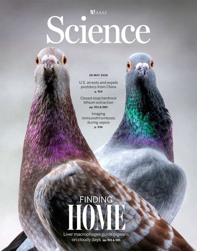 [Science Cover] Max Planck team links pigeon homing ability to iron ...