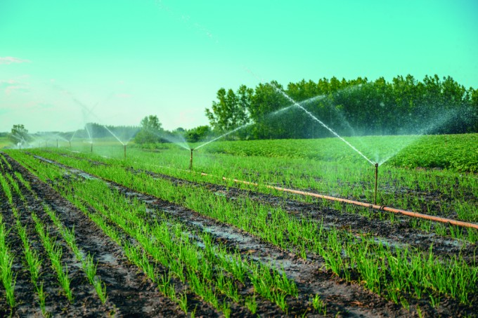 UN warns of global water bankruptcy as AI data centers strain ...