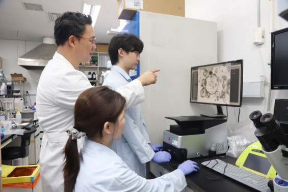 대장암 항암제 내성 원인 규명…약효 되살릴 돌파구 열려 - DongA Science