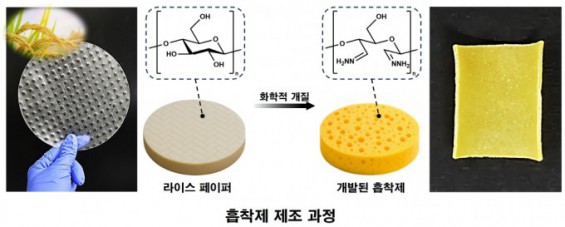 라이스 페이퍼로 폐수 속 '금' 캔다 - DongA Science